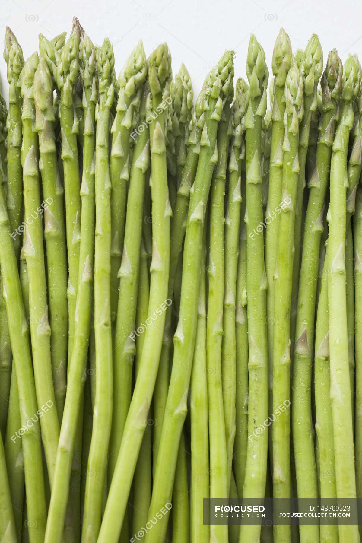 Green fresh asparagus — Isolated On White, asparagus stalks - Stock ... Green fresh asparagus — Isolated On White, asparagus stalks - Stock ...
