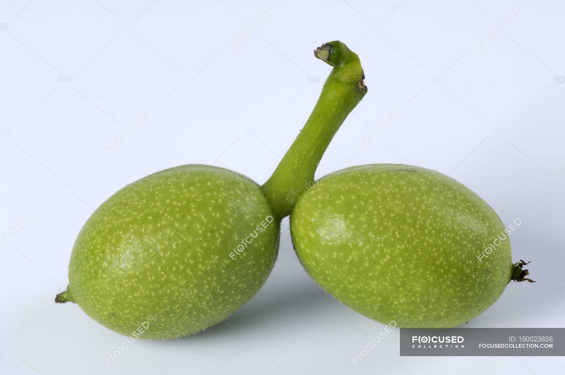 Two unshelled walnuts — eat, selection - Stock Photo | #150023838 Two unshelled walnuts — eat, selection - Stock Photo | #150023838