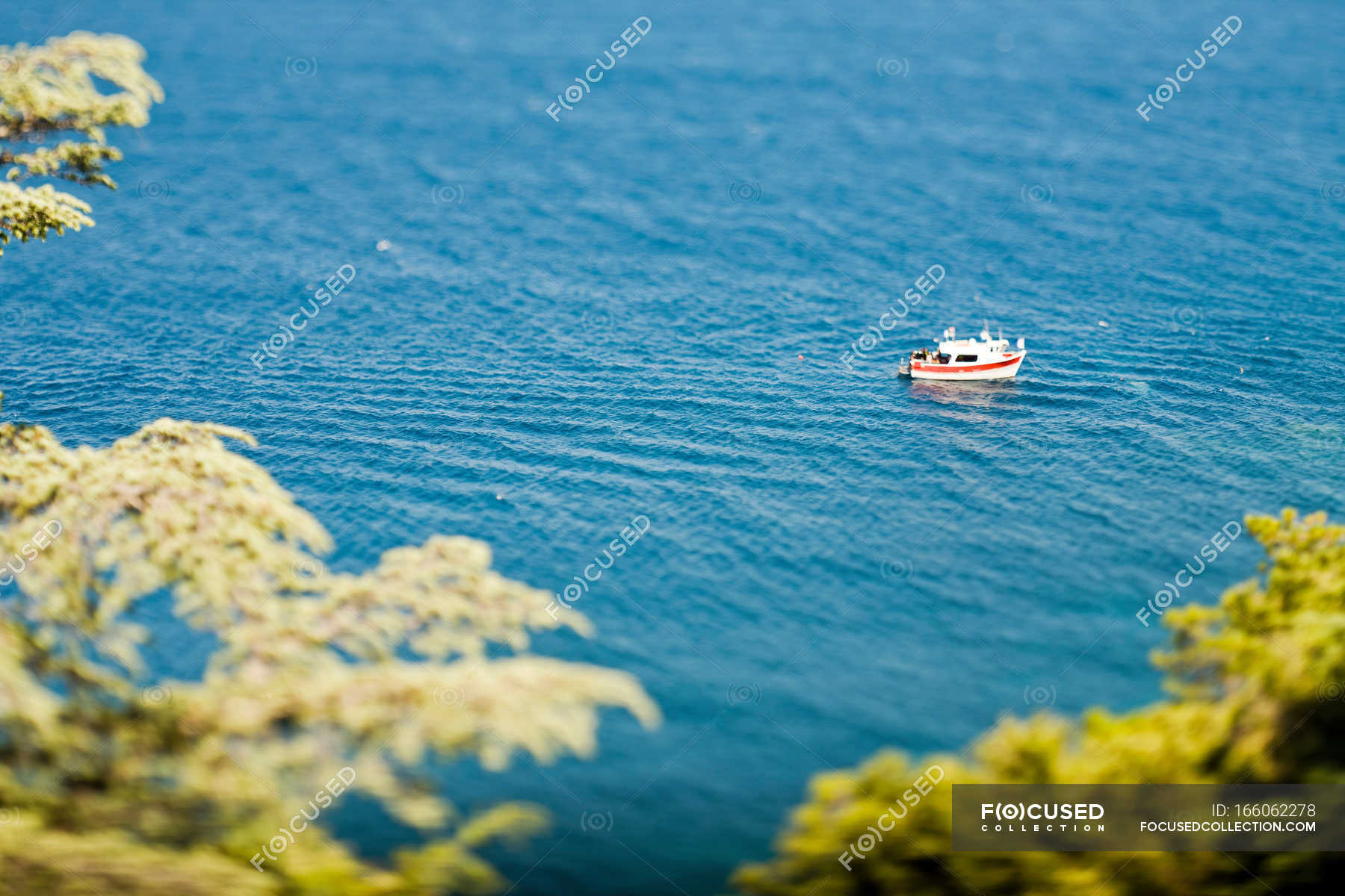 Fishing Boat Off Coast Travel Sunlight Stock Photo 166062278 fishing-boat-off-coast-travel-sunlight-stock-photo-166062278