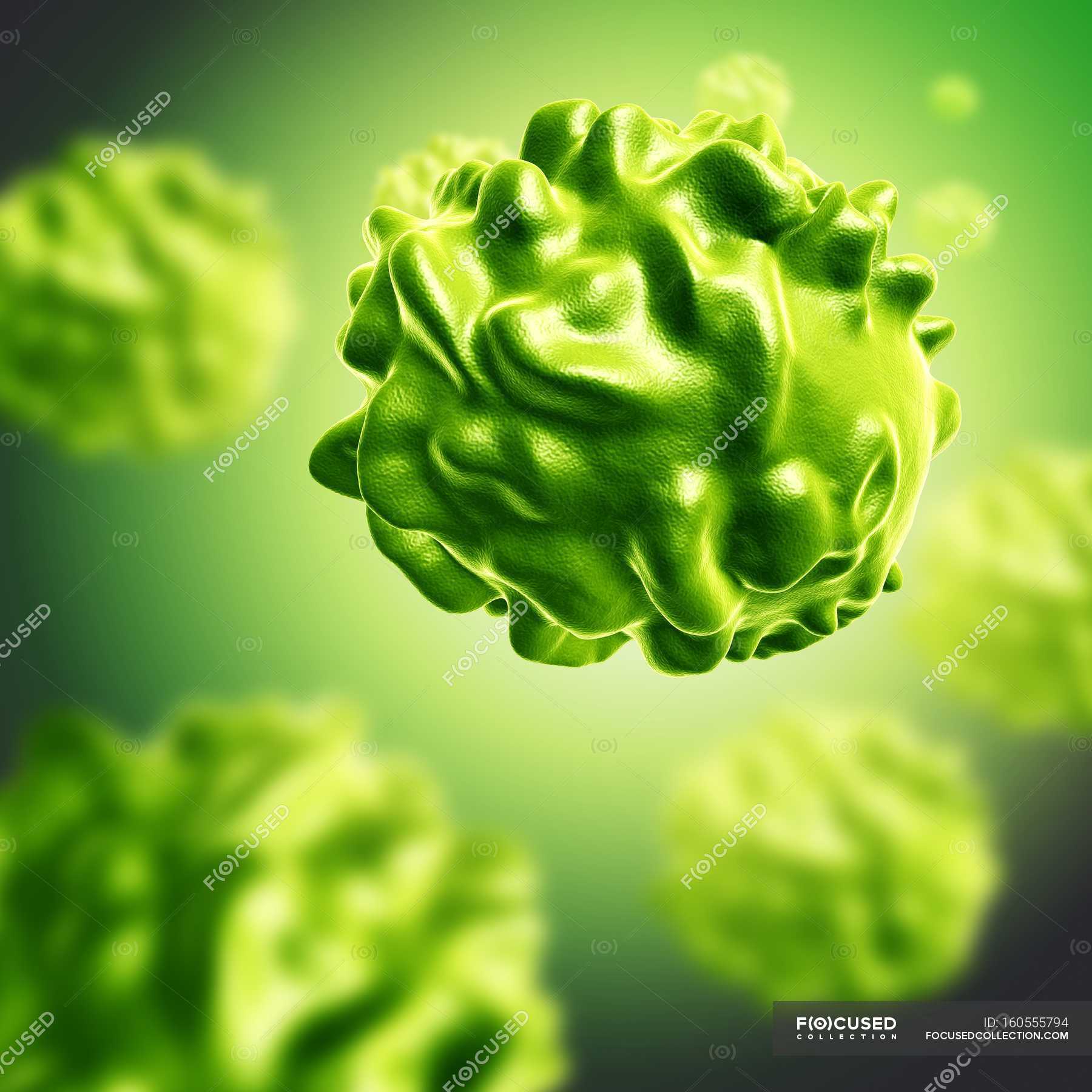 Smallpox Virus Particle Microbiological Anatomical Stock Photo