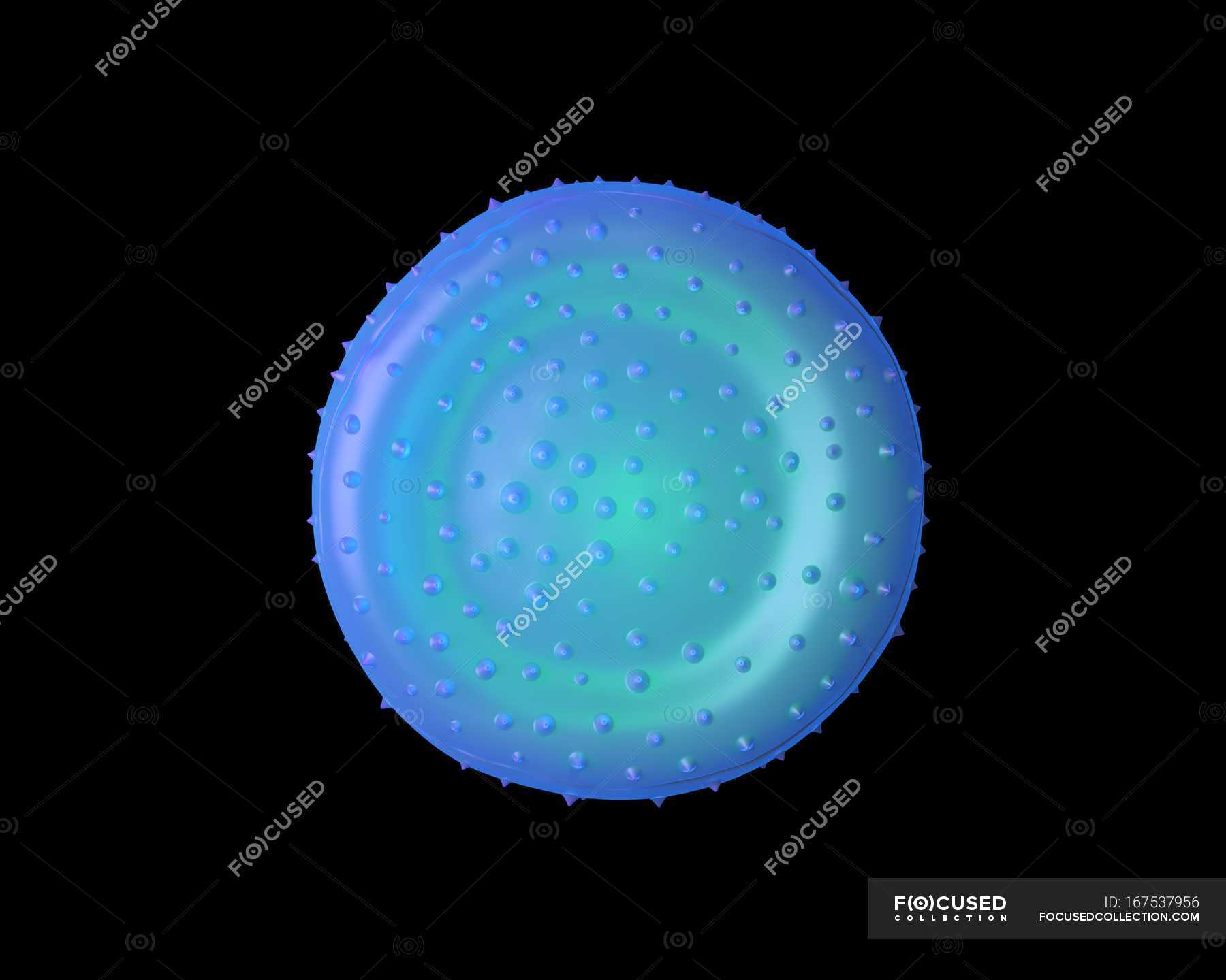 Dinoflagellate, conceptual computer illustration. — object ... Dinoflagellate, conceptual computer illustration. — object ...