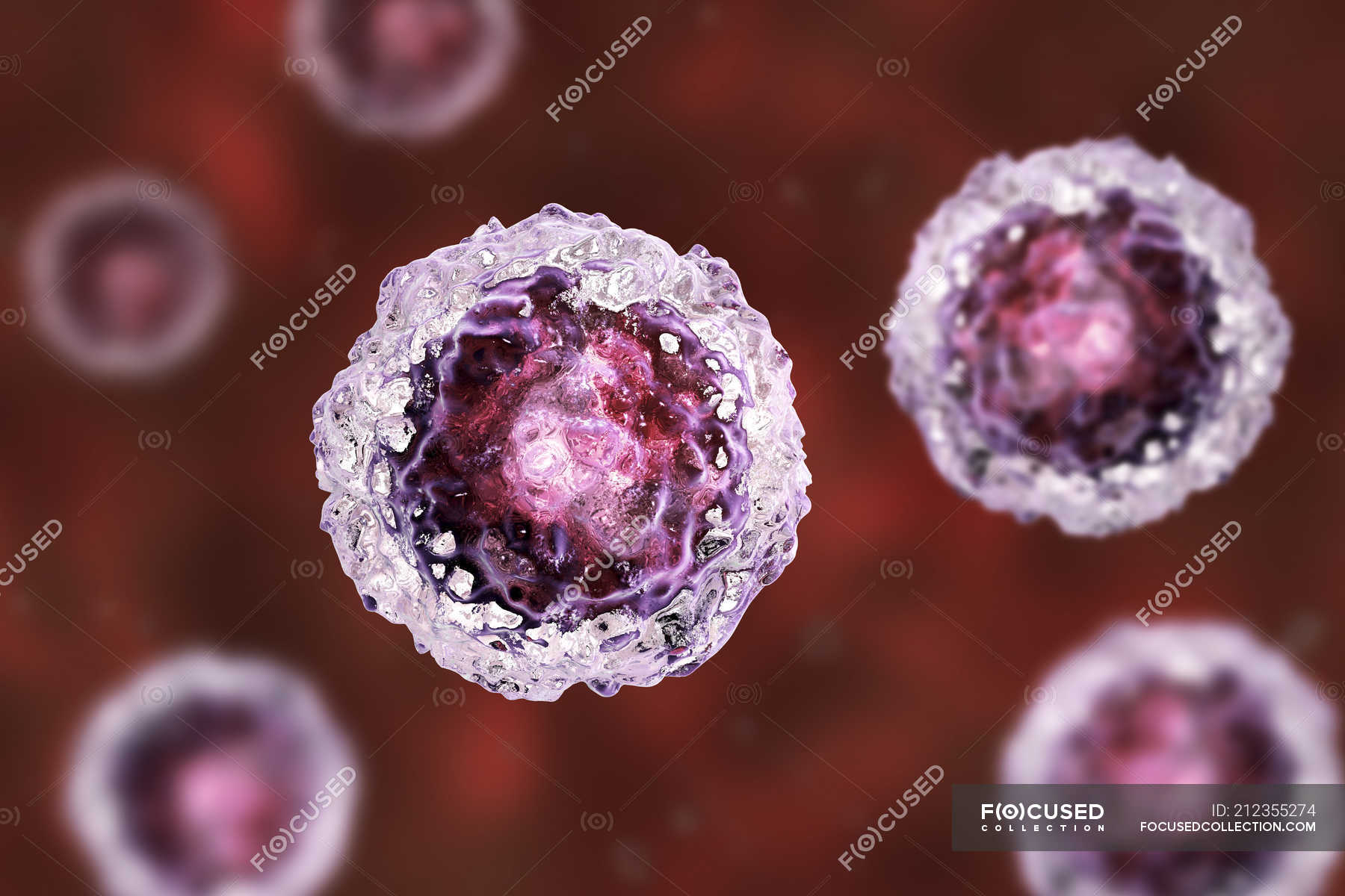 Colored human embryonic stem cells, digital illustration ...