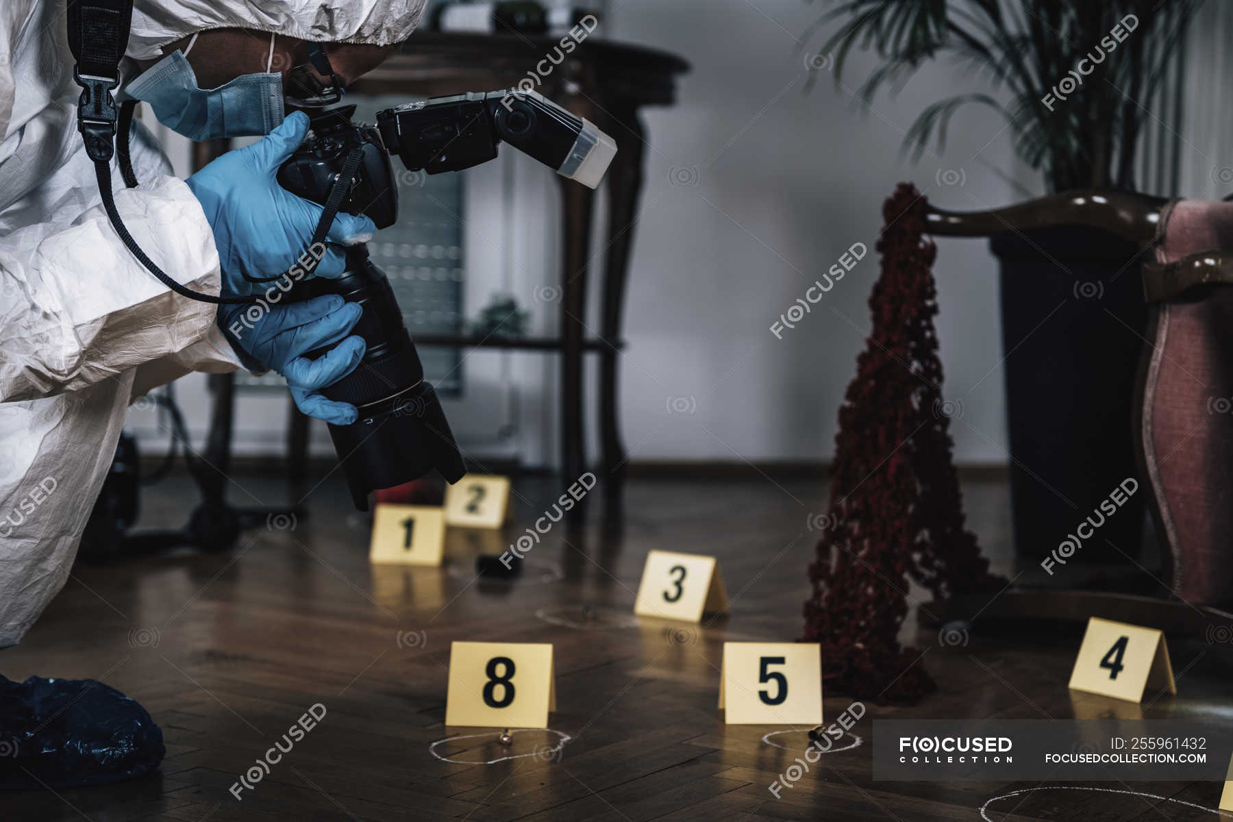 Forensics expert photographing evidence at crime scene. — Protective Gloves, police - Stock ...