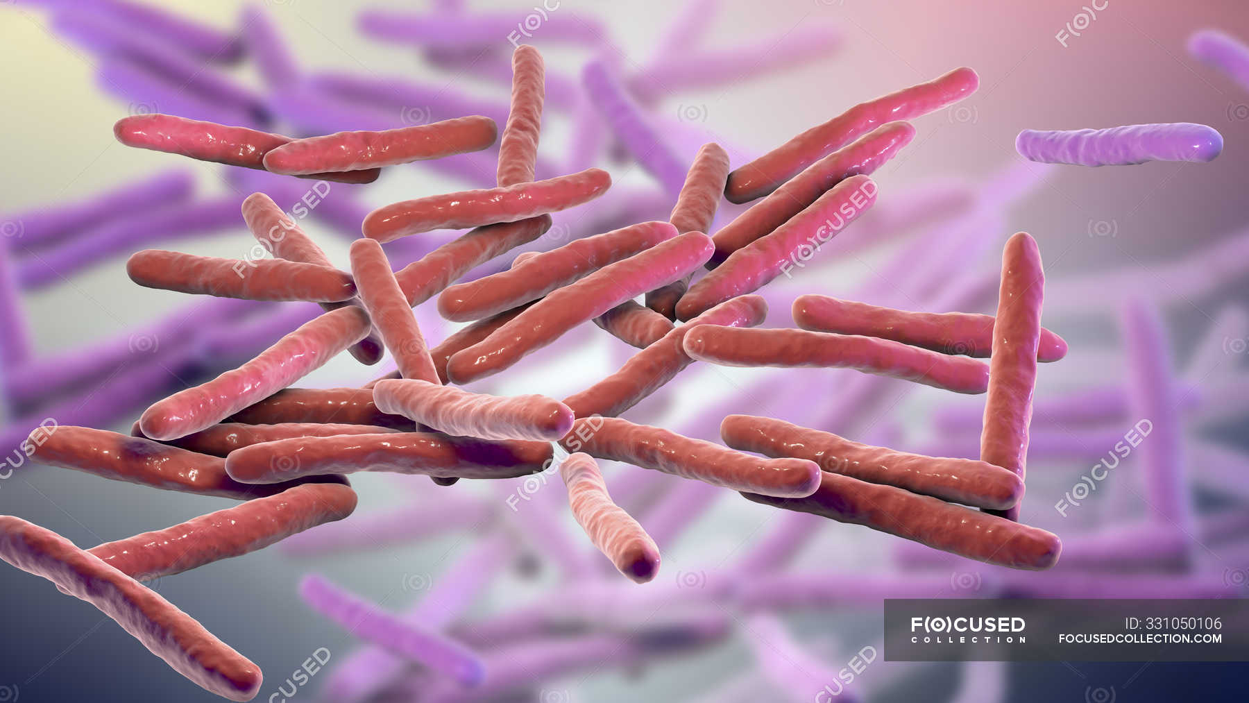 Digitale Illustration von Mycobacterium leprae gram-positiven stabförmigen Bakterien, Erreger ...