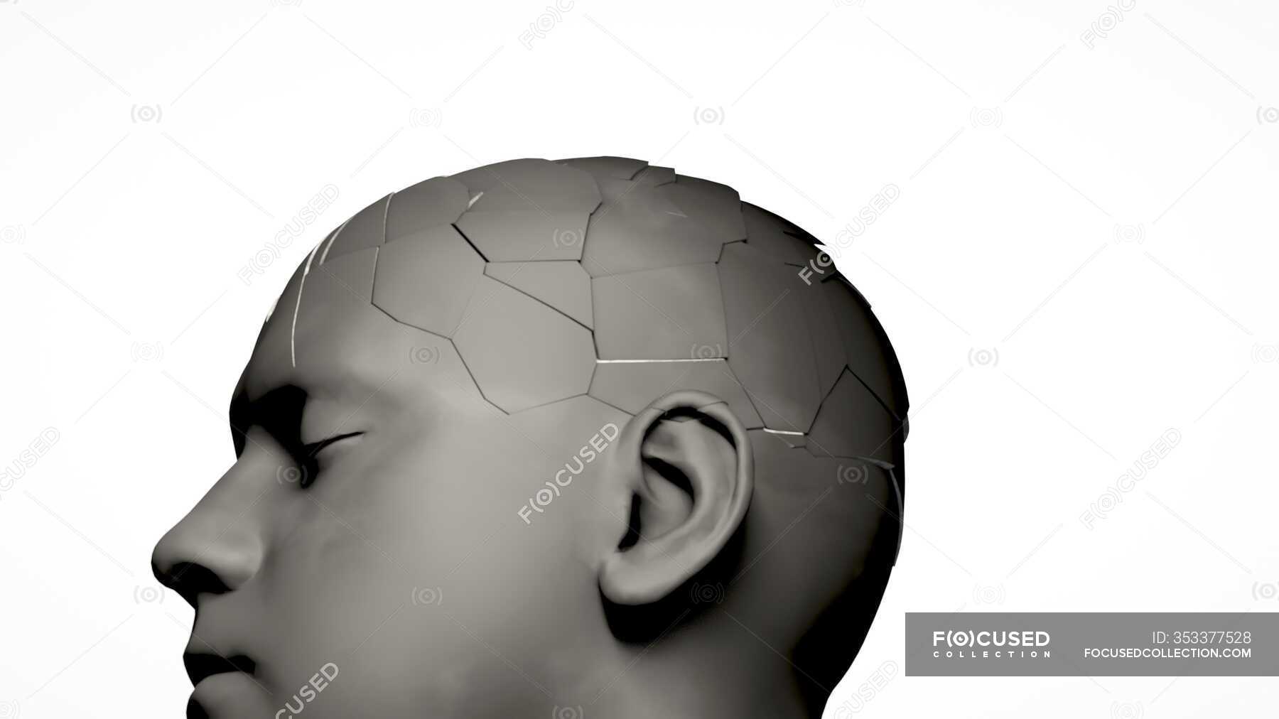 Dementia, conceptual computer illustration — central, male - Stock ... Dementia, conceptual computer illustration — central, male - Stock ...