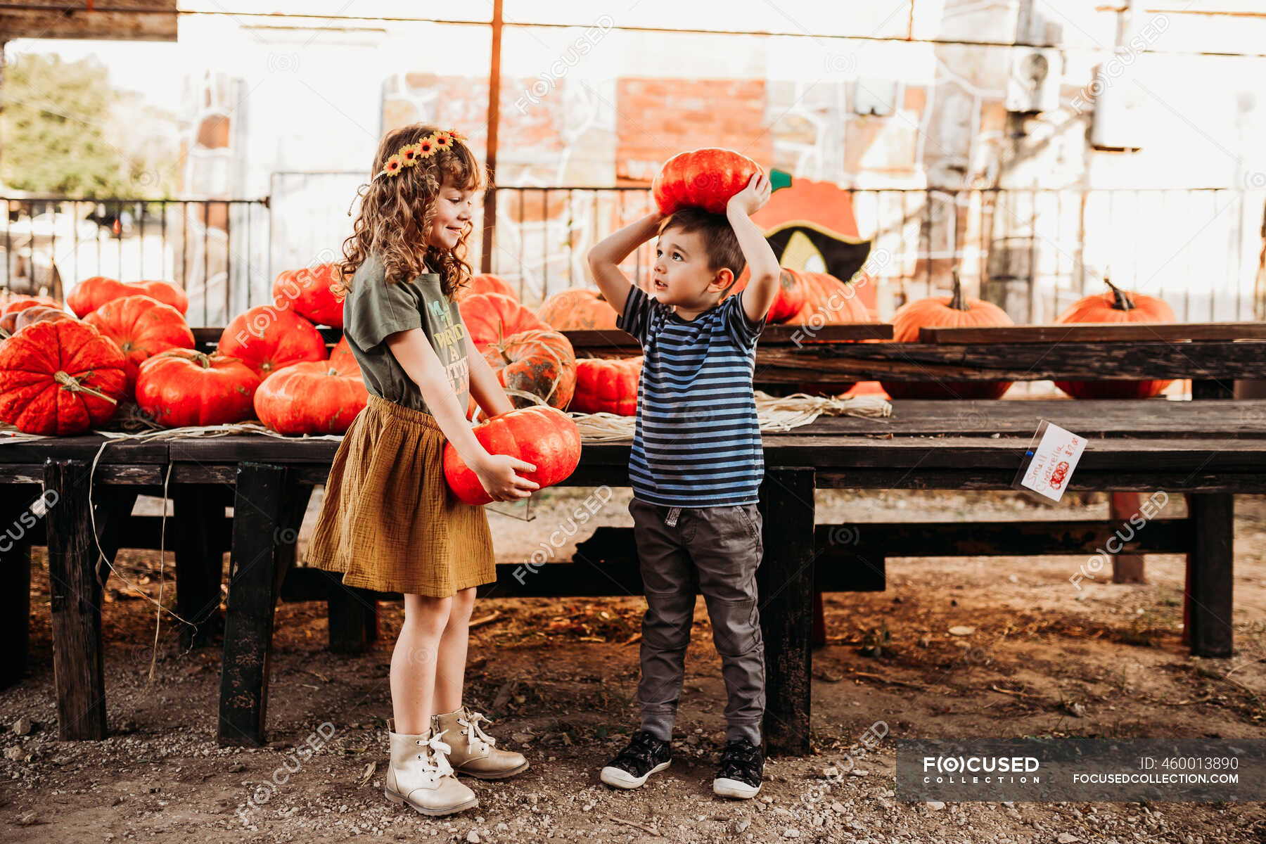 Cute boy and girl with pumpkins — day, sister - Stock Photo | #460013890