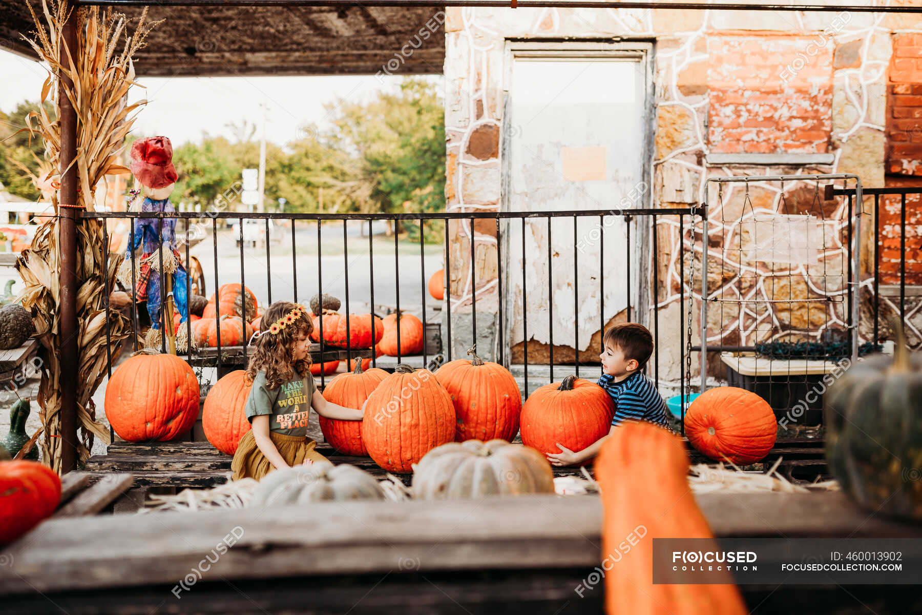 Cute boy and girl with pumpkins — farmers market, siblings - Stock ...