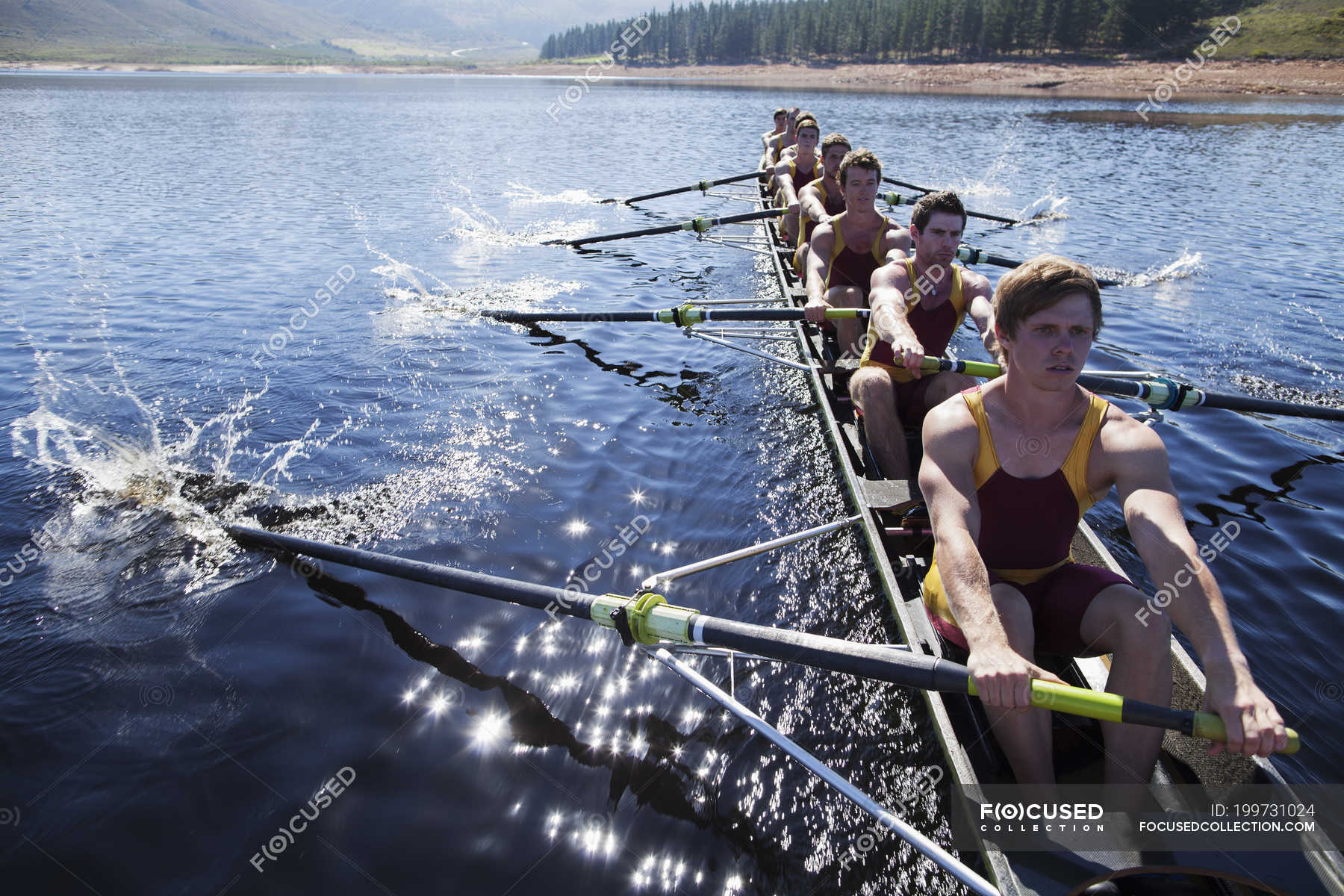 Rowing team rowing scull on lake — bonding, crew - Stock Photo | #199731024 Rowing team rowing scull on lake — bonding, crew - Stock Photo | #199731024
