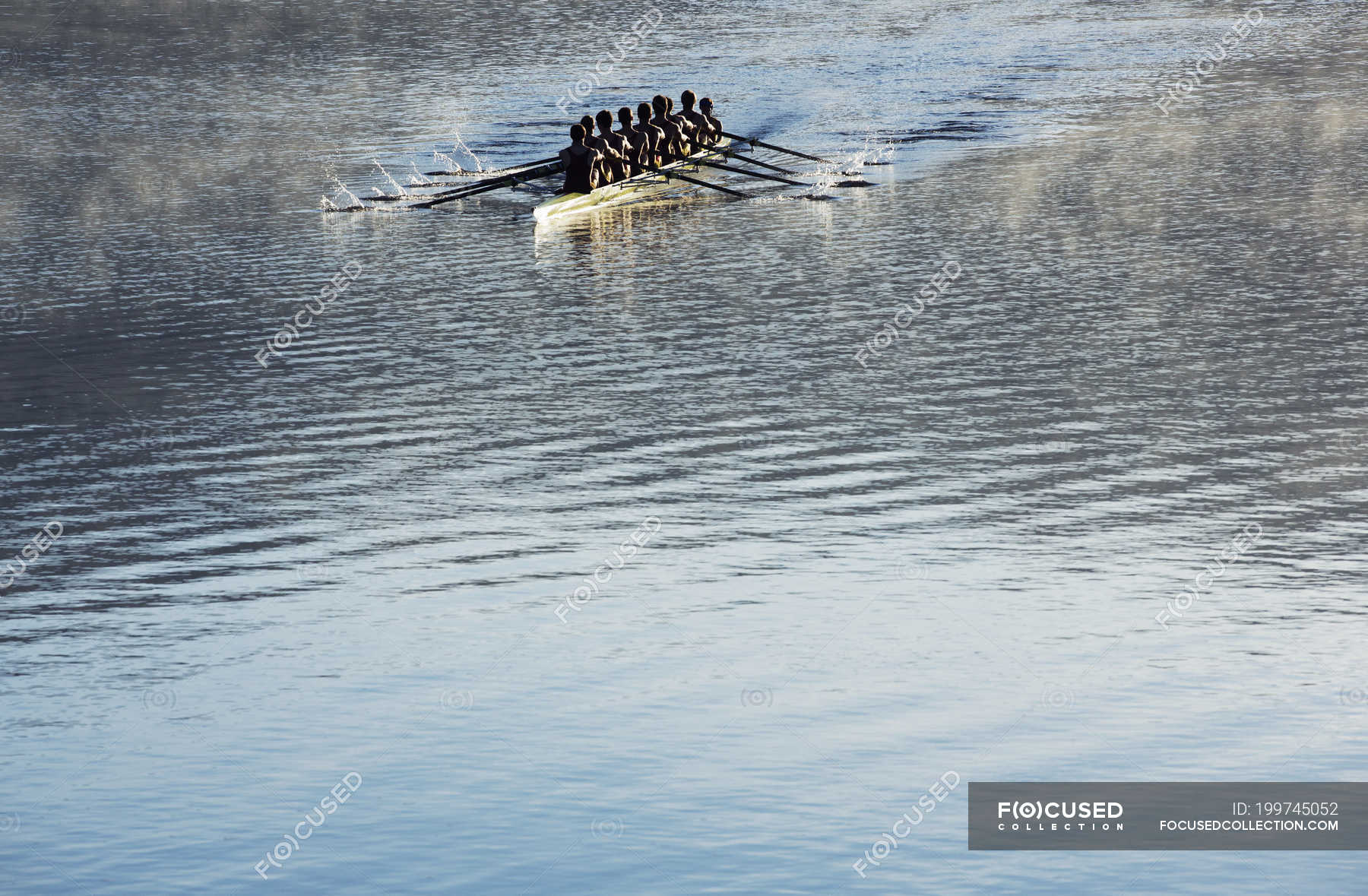 Rowing team rowing scull on lake — aerial view, nature - Stock Photo ... Rowing team rowing scull on lake — aerial view, nature - Stock Photo ...