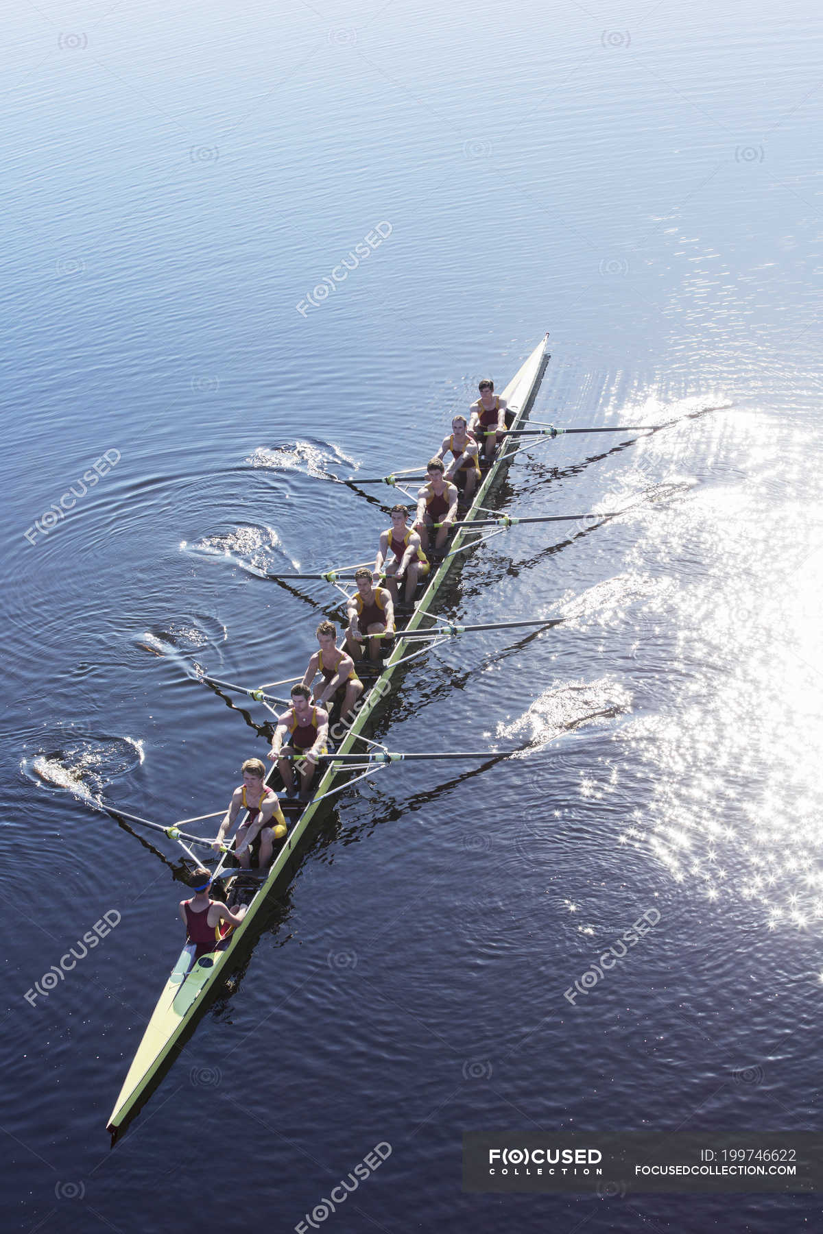 Rowing team rowing scull on lake — Coxed Rowing, nature - Stock Photo ... Rowing team rowing scull on lake — Coxed Rowing, nature - Stock Photo ...