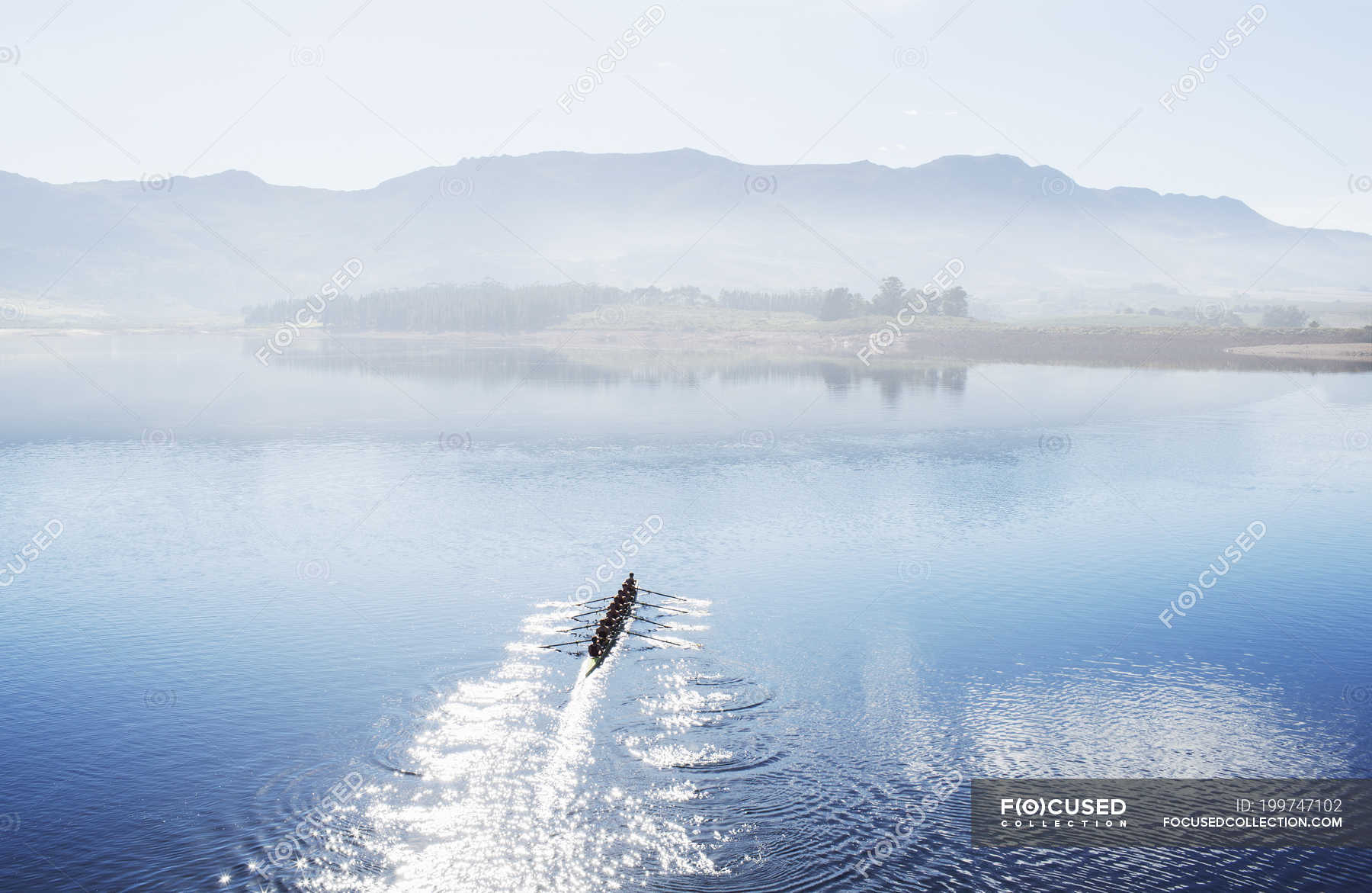 Rowing team rowing scull on lake — boat, rowboat - Stock Photo | #199747102 Rowing team rowing scull on lake — boat, rowboat - Stock Photo | #199747102