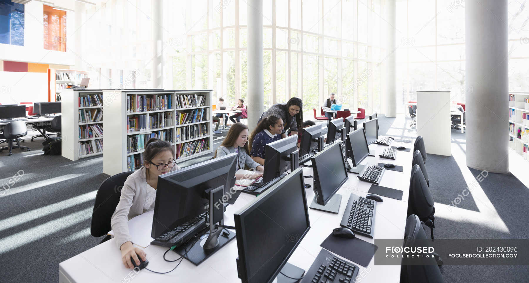 Students working at computers in laboratory — Chinese Ethnicity, Multi ...