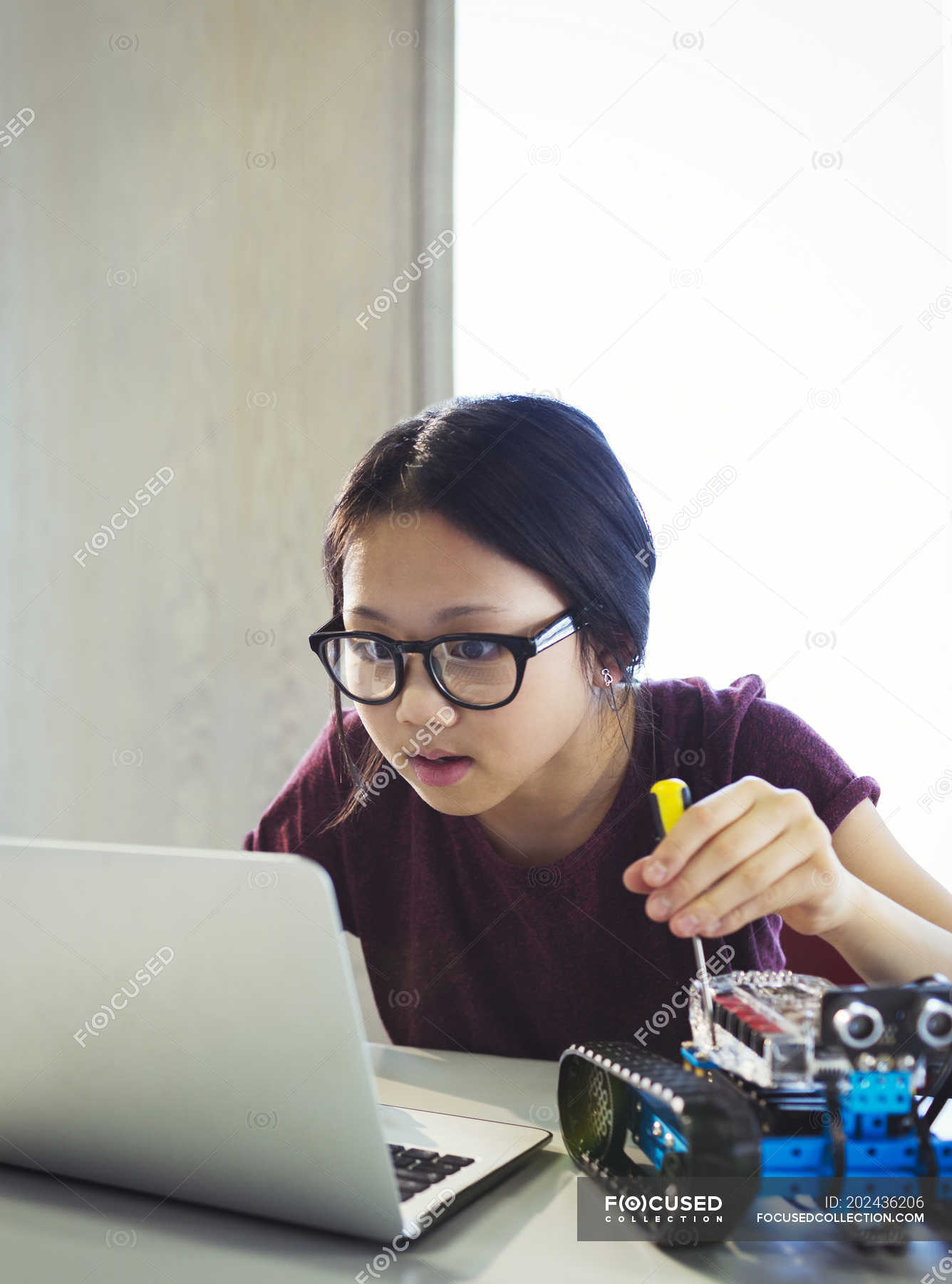 Focused, curious girl programming and assembling robotics at laptop in ...