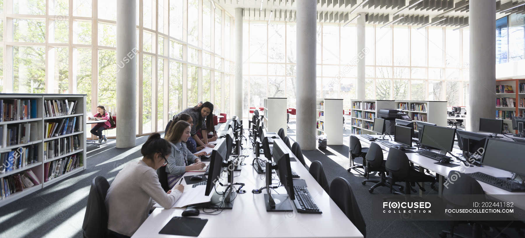 Students researching at computers in library — Guidance, table - Stock ...