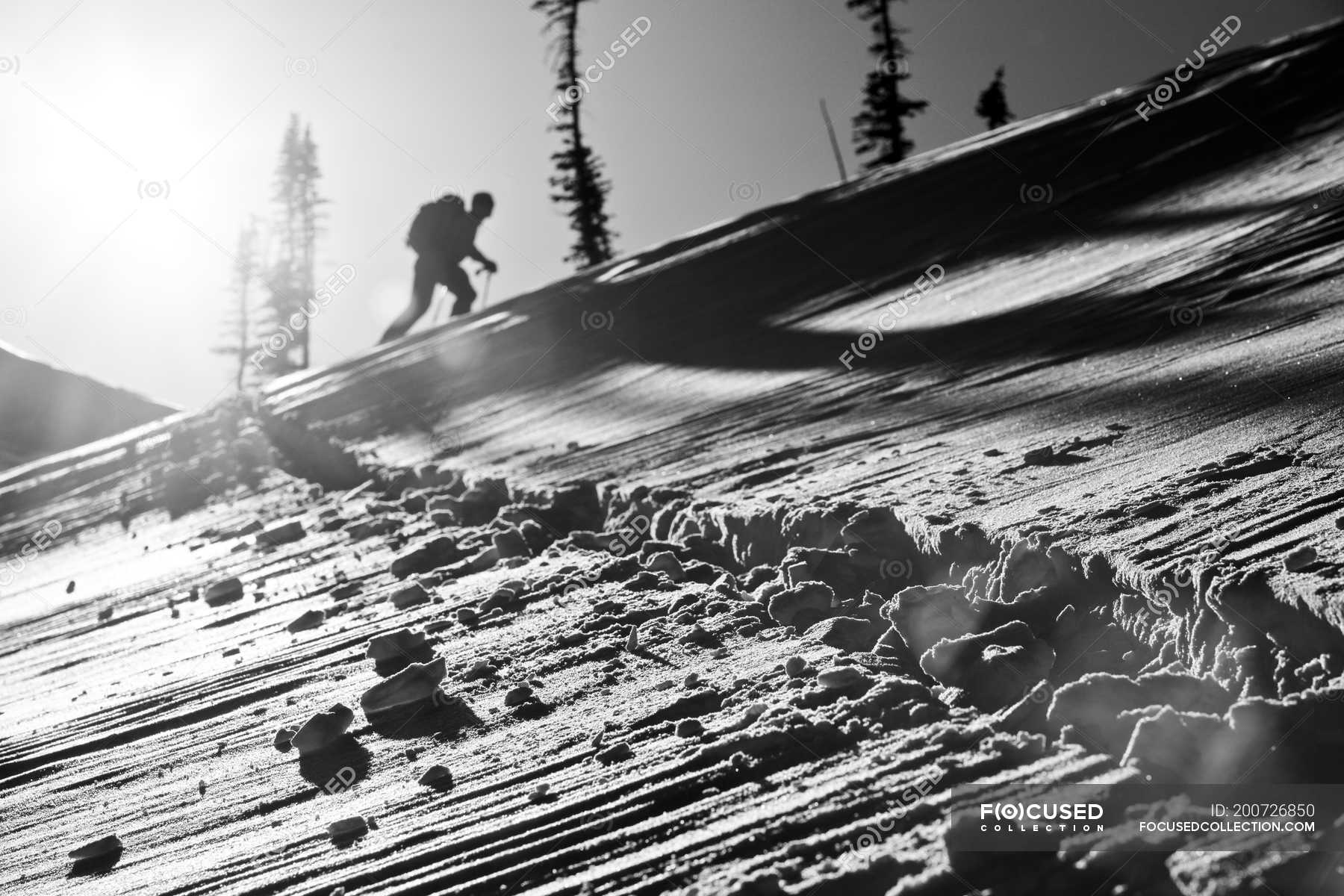 Skier Uptracking At Snow Covered Rogers Pass Glacier National Park British Columbia Canada