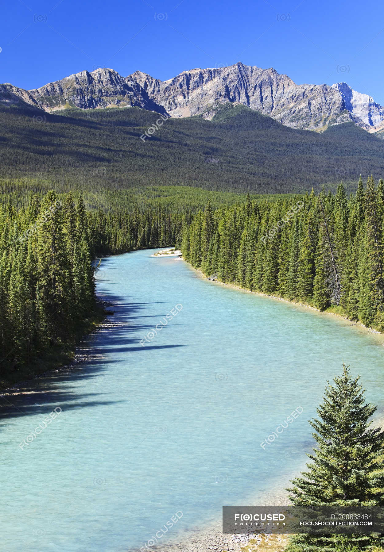 Aquamarine water of Bow River, Banff National Park, Alberta, Canada. — daylight, trees - Stock ...