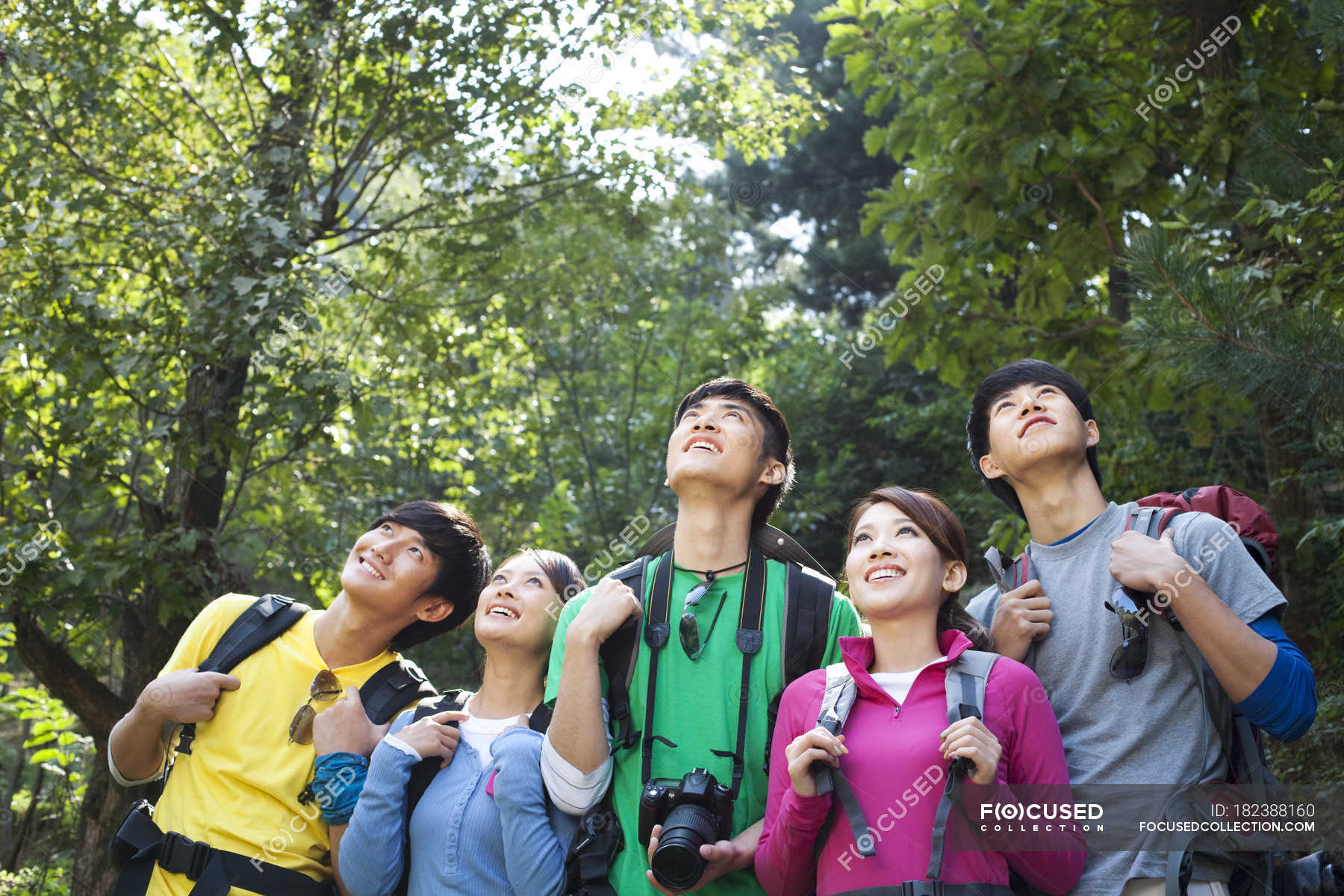 Group of Chinese hikers looking up in woods — Men, smiling - Stock Photo | #182388160