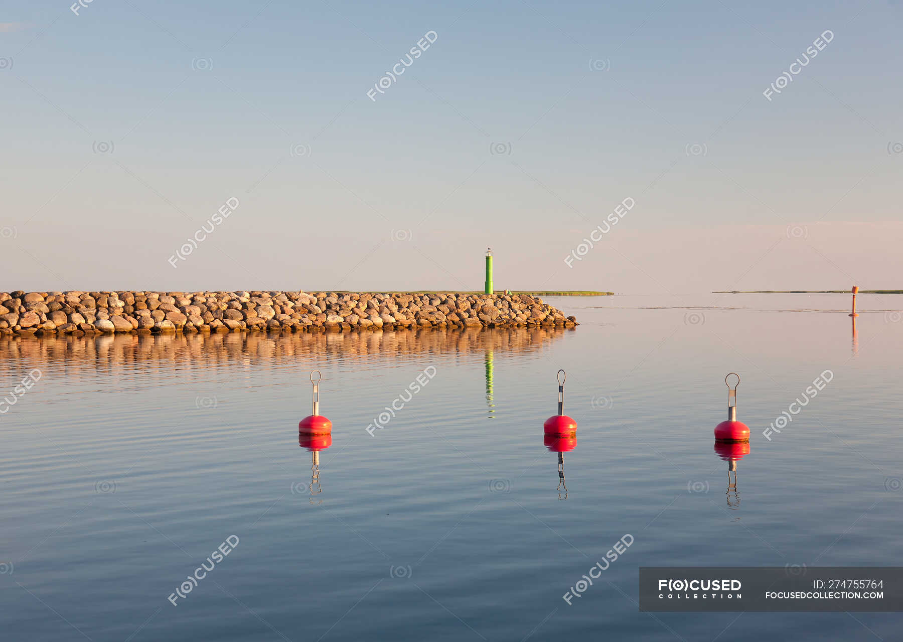 Close-up view of red buoys on water in a marina — horizontal, clear sky ...