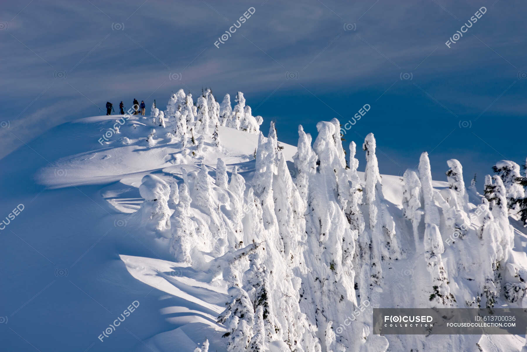 Winter snow in the Northern Cascades mountains, elevated view of ...