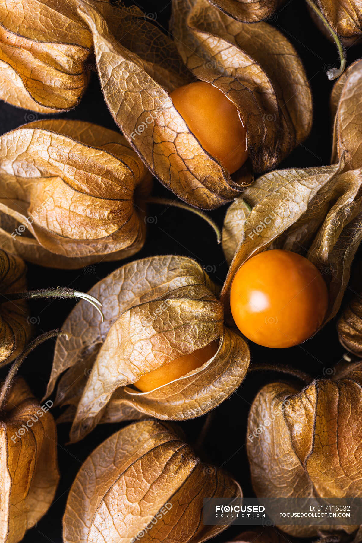 Top view of seamless background of orange physalis placed in rows on ...