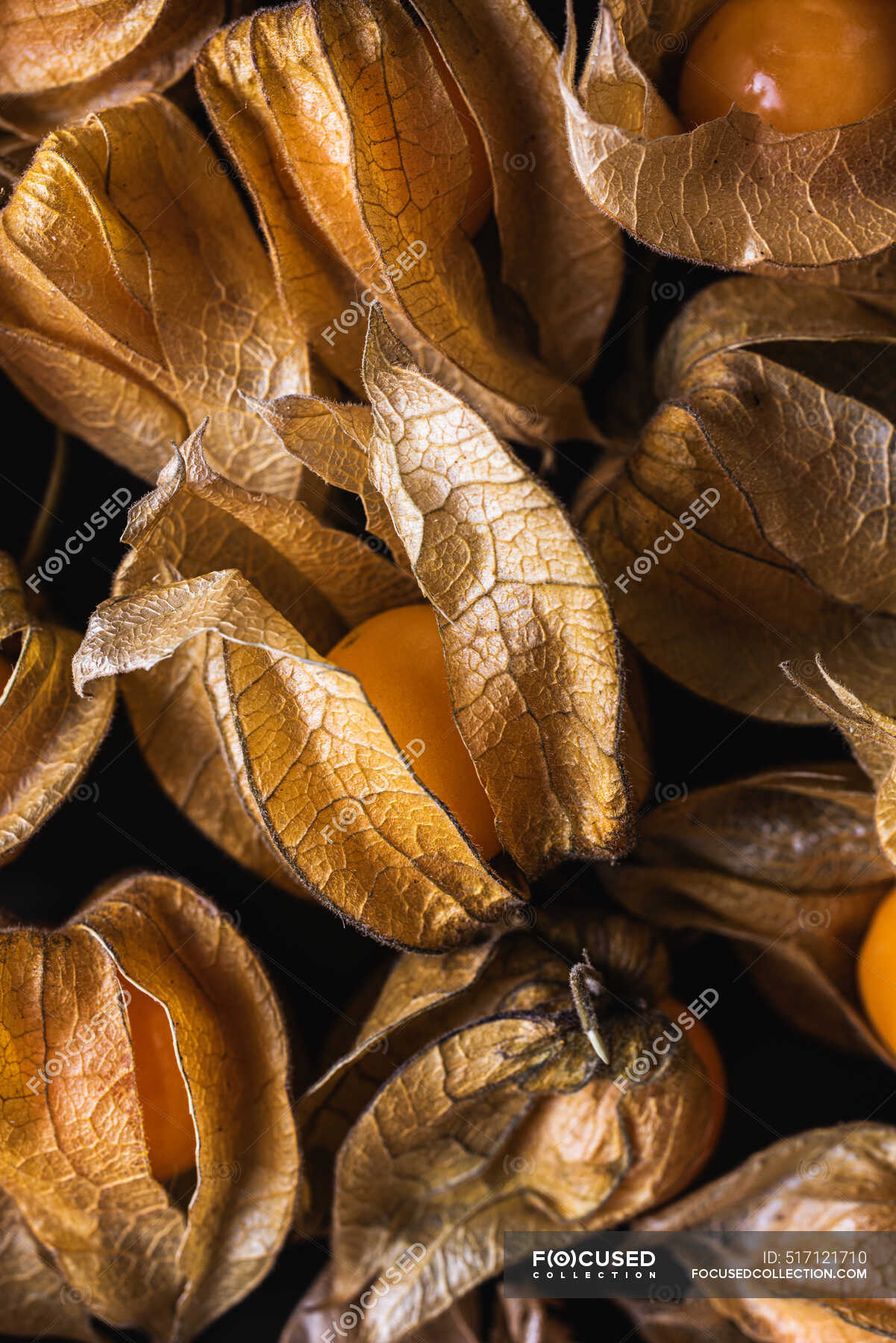 Top view of seamless background of orange physalis placed in rows on ...