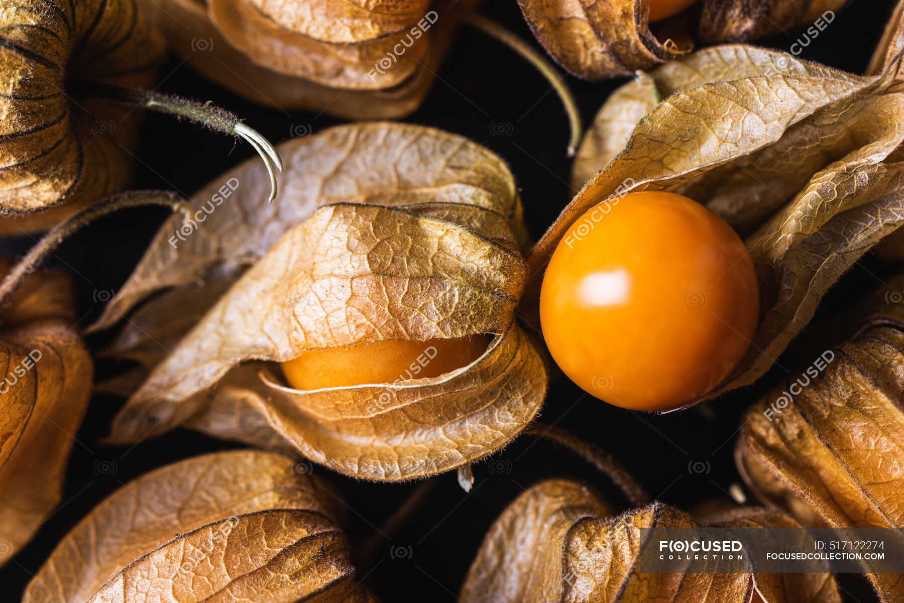 Top view of seamless background of orange physalis placed in rows on ...