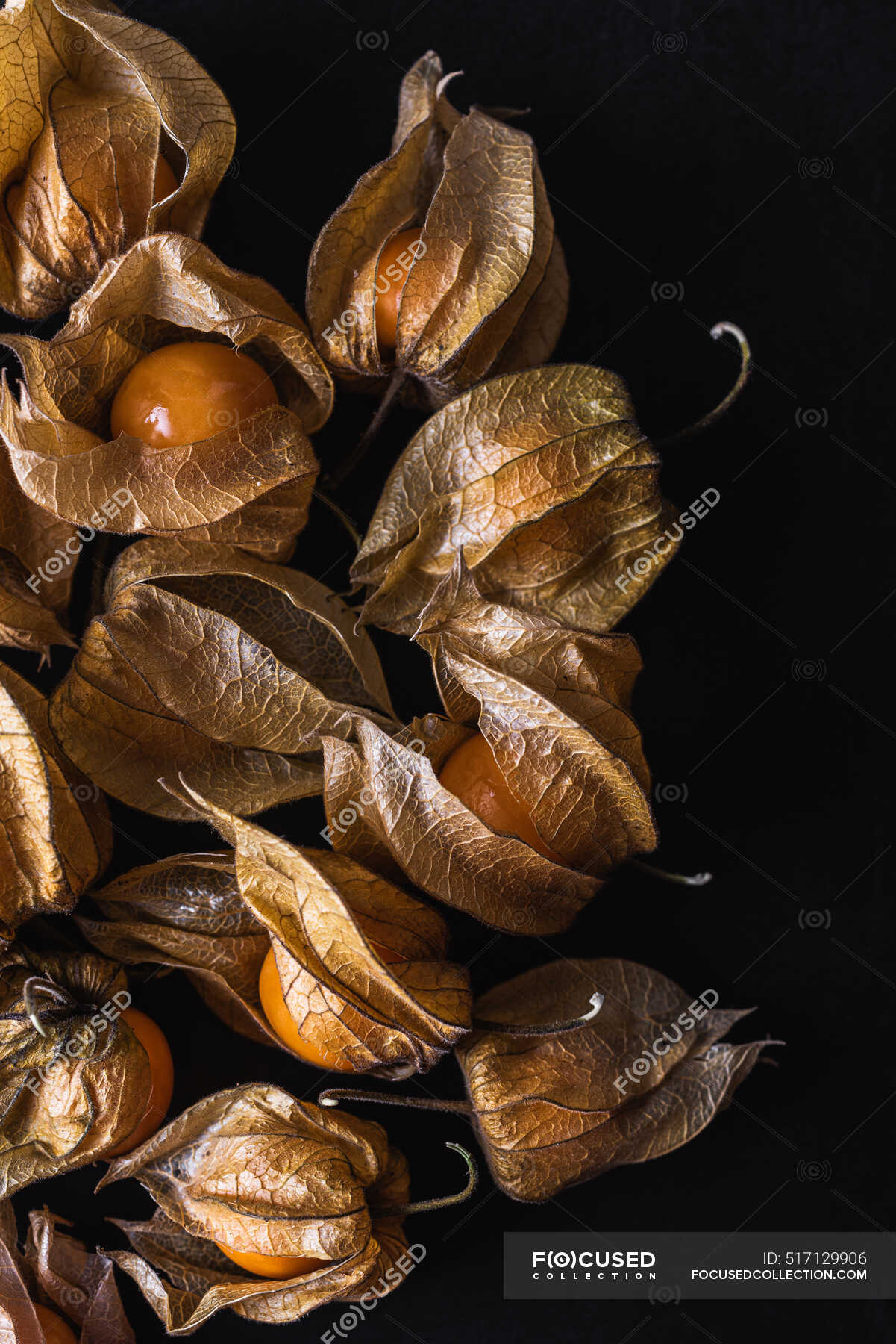 Top view of seamless background of orange physalis placed in rows on ...