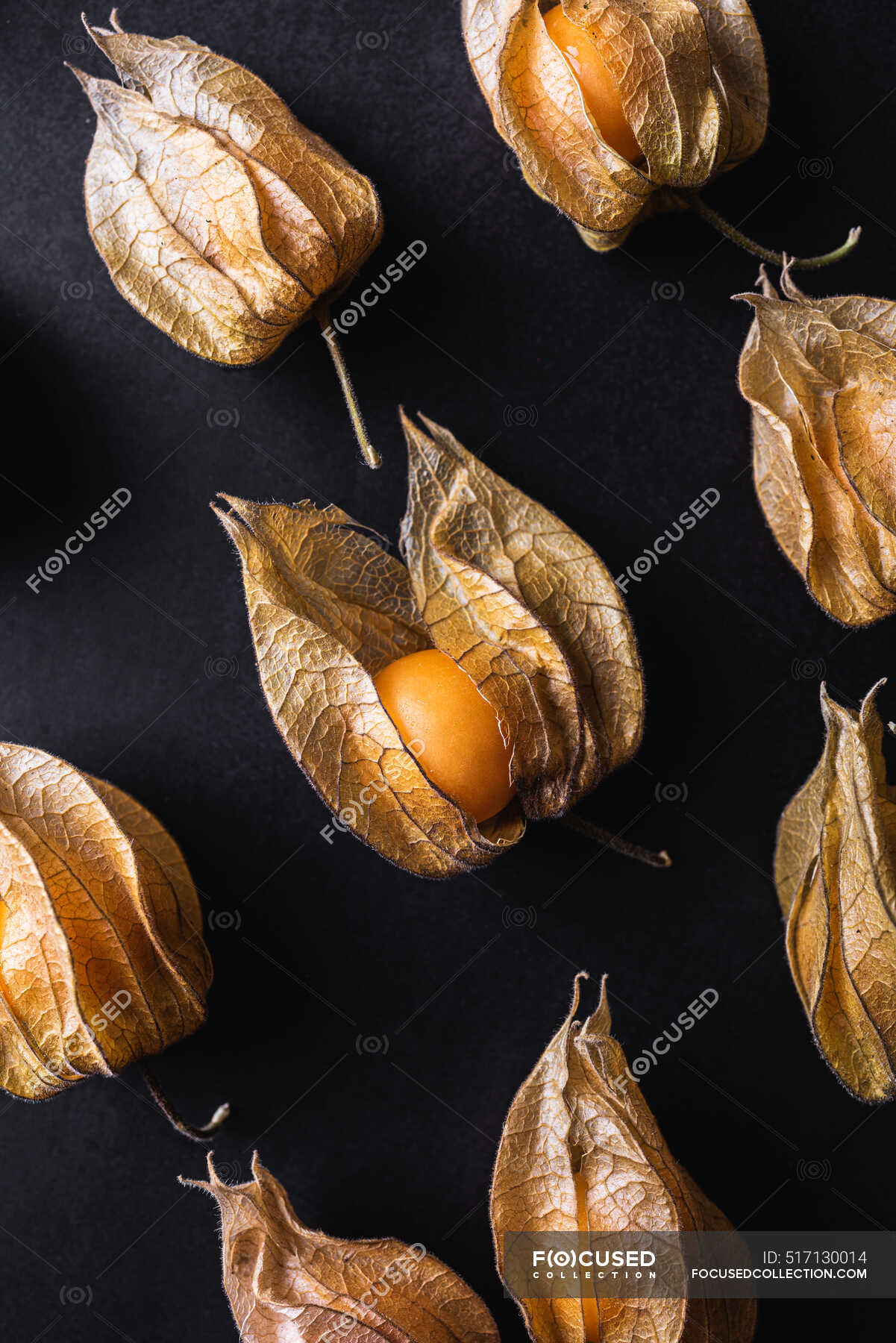 Top view of seamless background of orange physalis placed in rows on ...