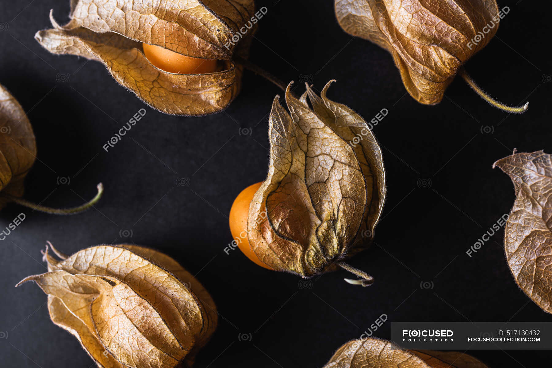Top view of seamless background of orange physalis placed in rows on ...