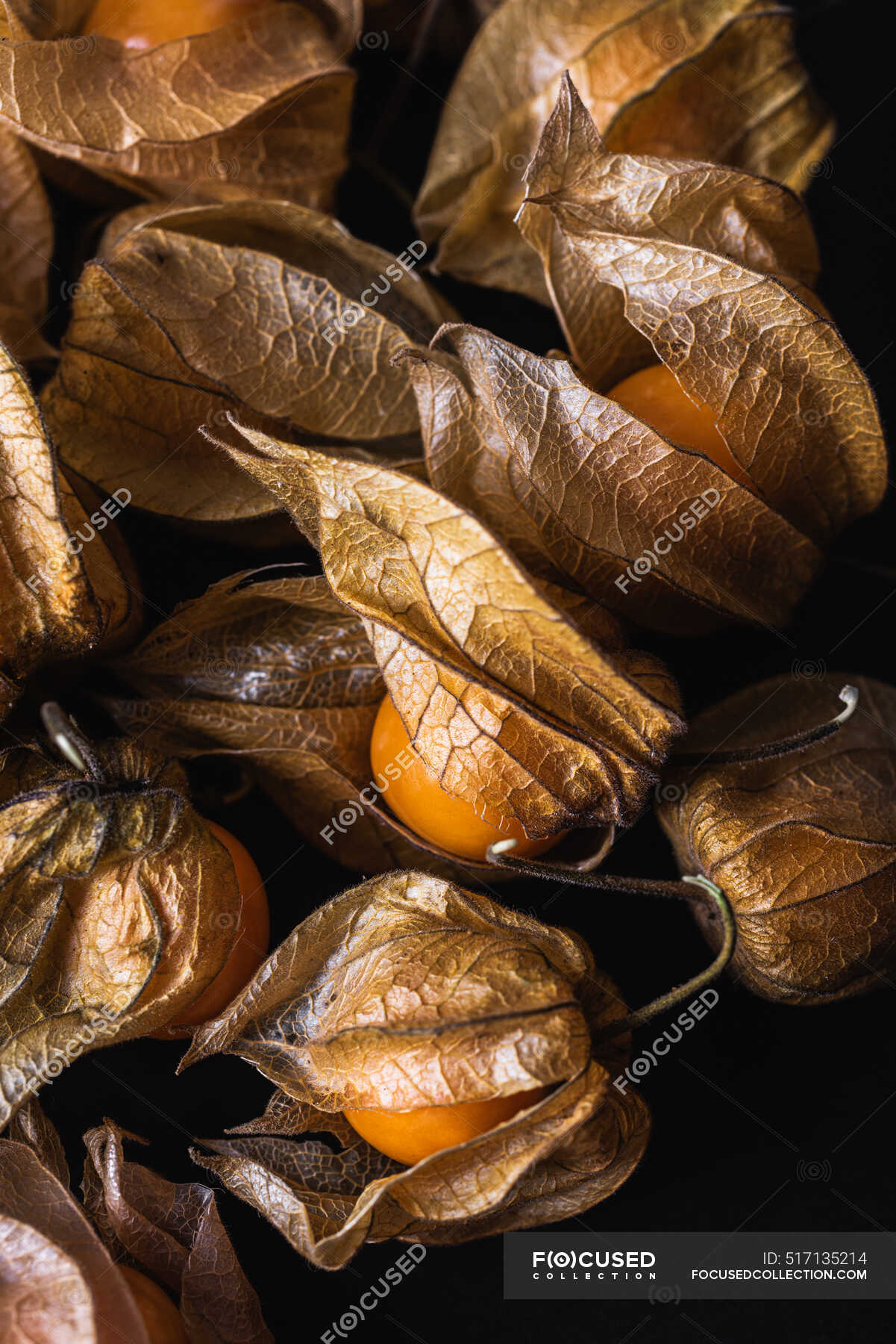 Top view of seamless background of orange physalis placed in rows on ...