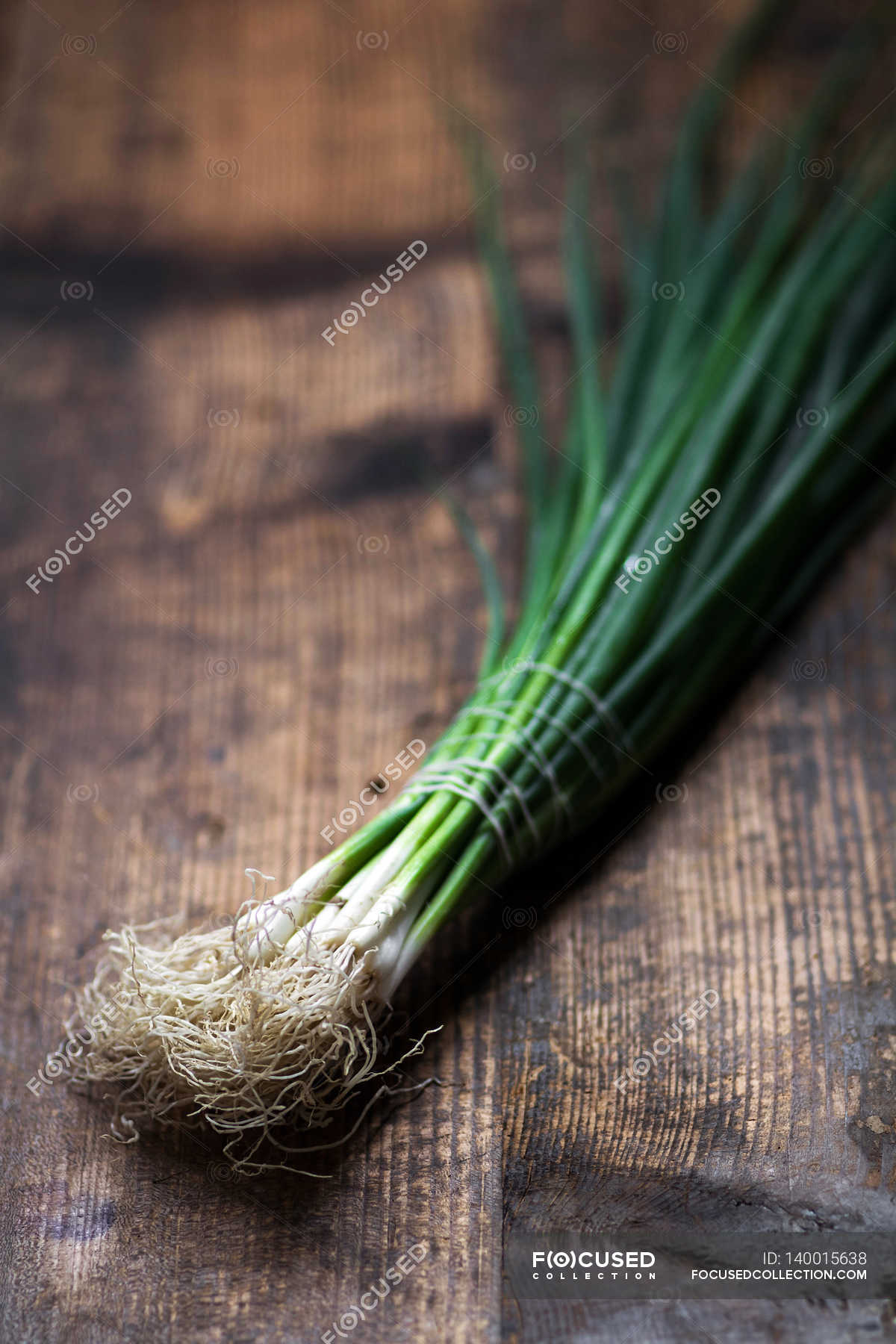 Bunch of freshly picked spring onions — organic, vegetarian - Stock ...