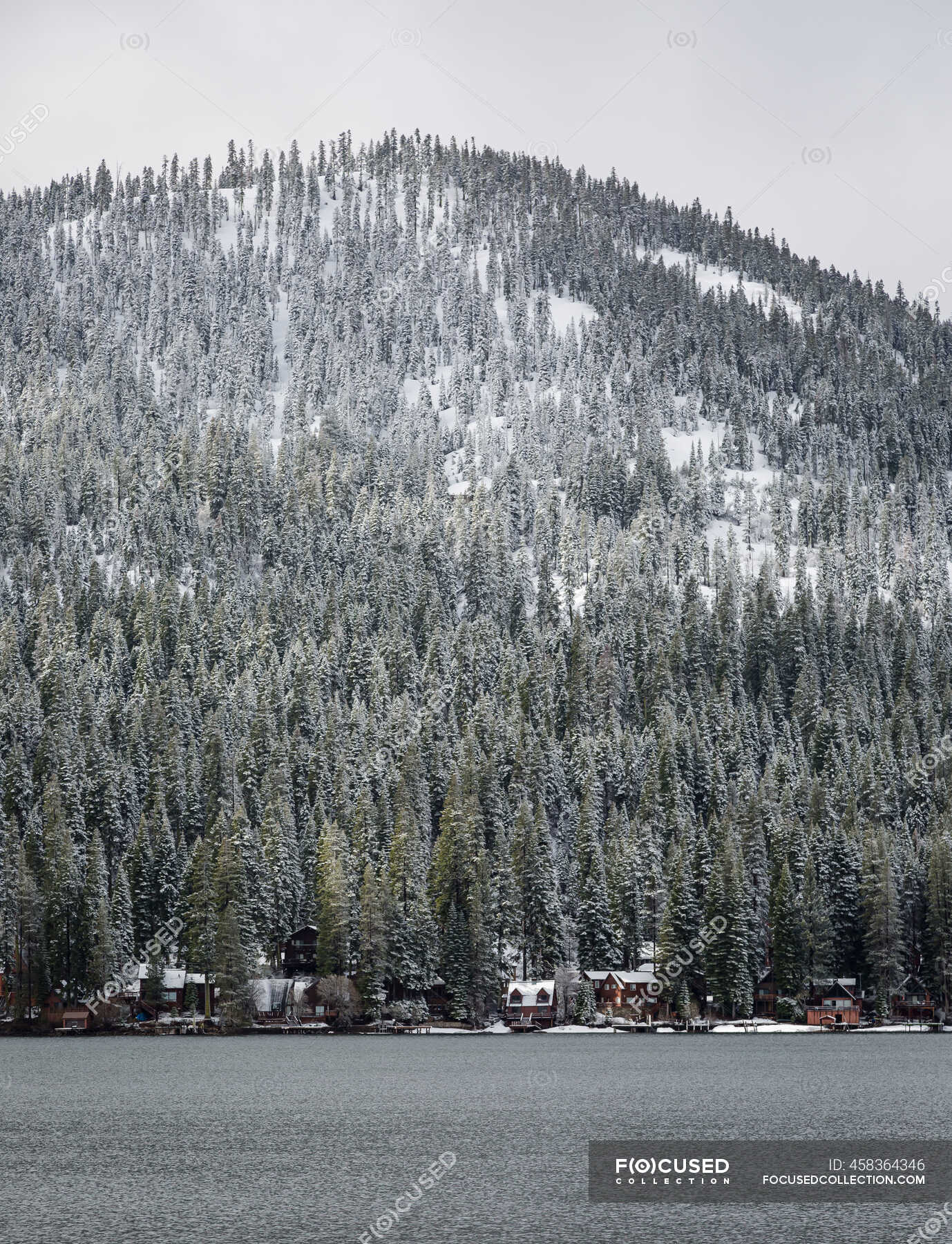Lake tahoe national forest - Stock Photos, Royalty Free Images | Focused