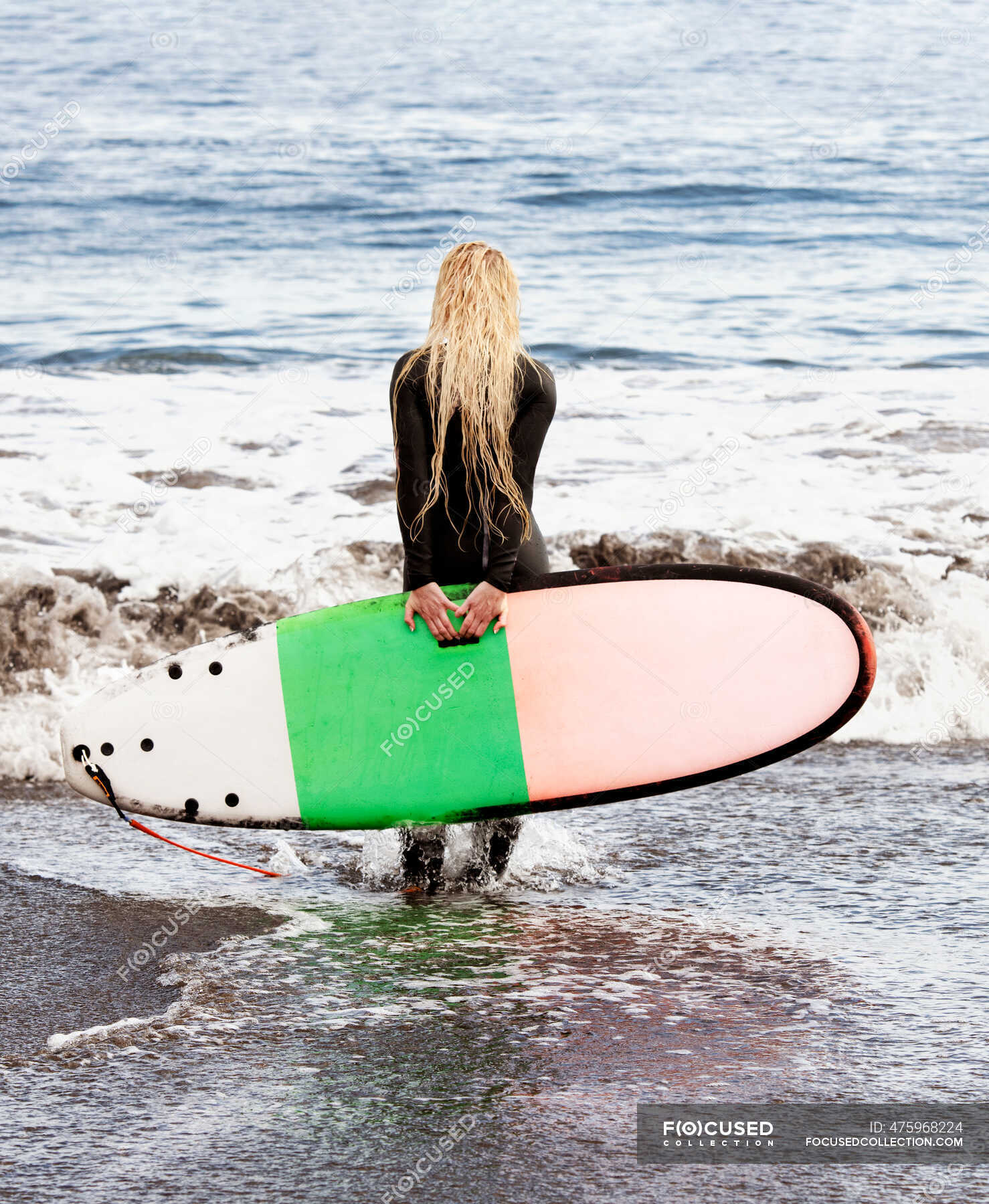 Rear view of a surfer walking into ocean carrying a surfboard behind ...